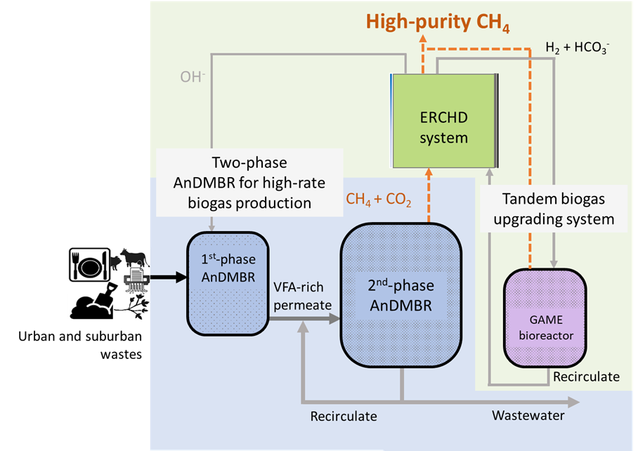 Integrated Biochemical and Electrochemical Technology (IBET) – Raskin ...
