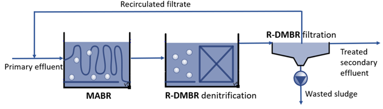 Low-Energy Biomembrane Filtration Process – Raskin Research Group